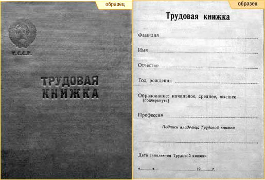 Поиск по сайту